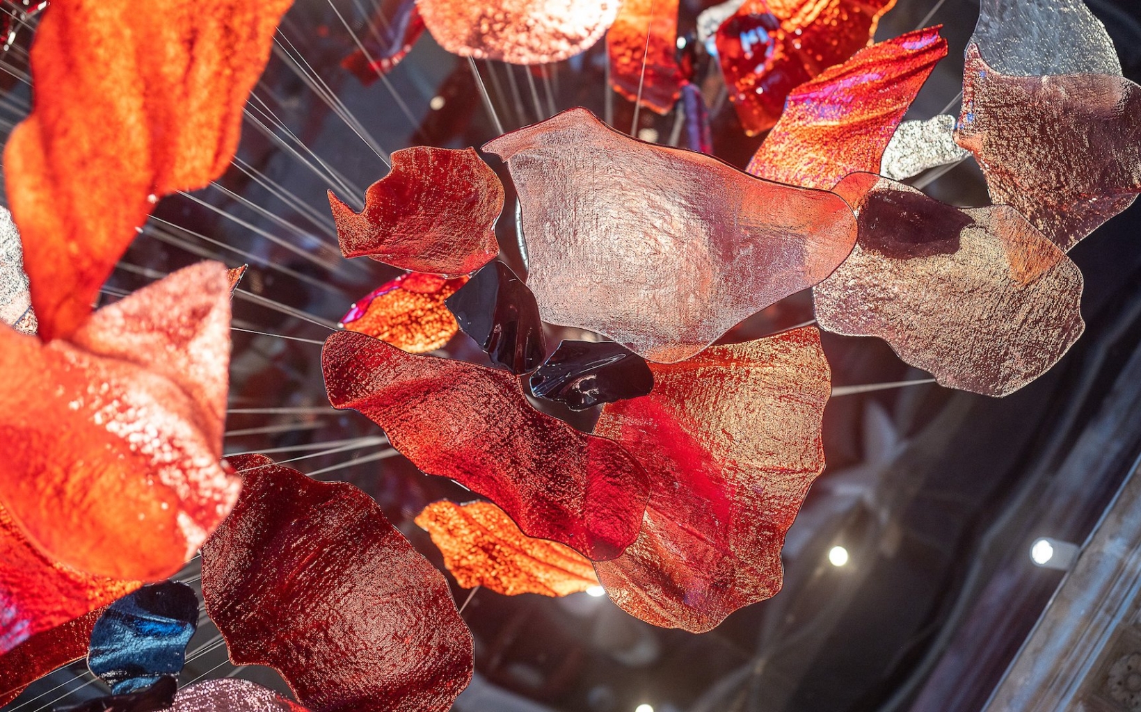 Lasvit ozdobil vlčími máky bývalé kanceláře Winstona Churchilla ...