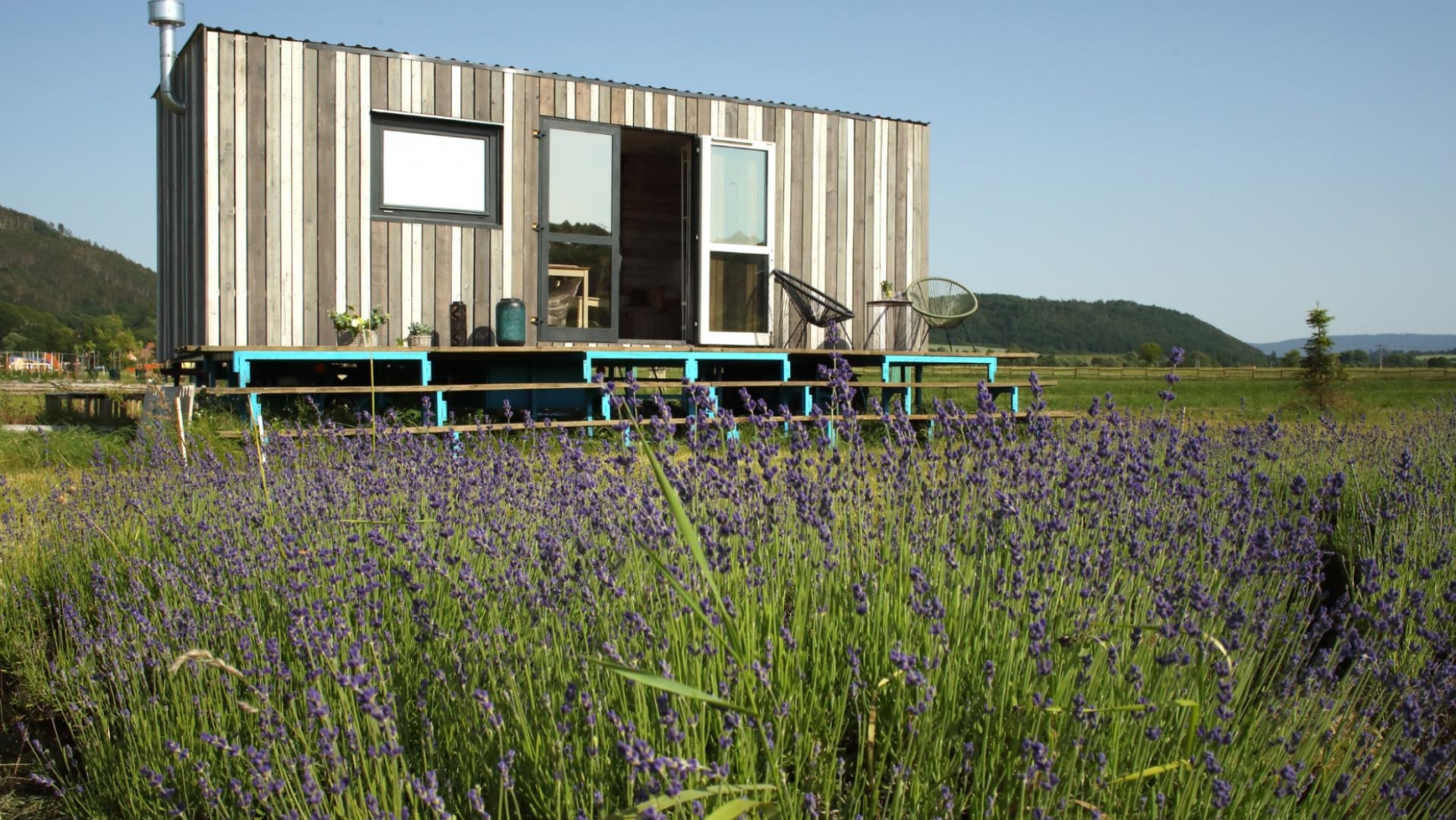 Fialové zlato. Levandule z Česka je léčivější než z Provence - CzechCrunch